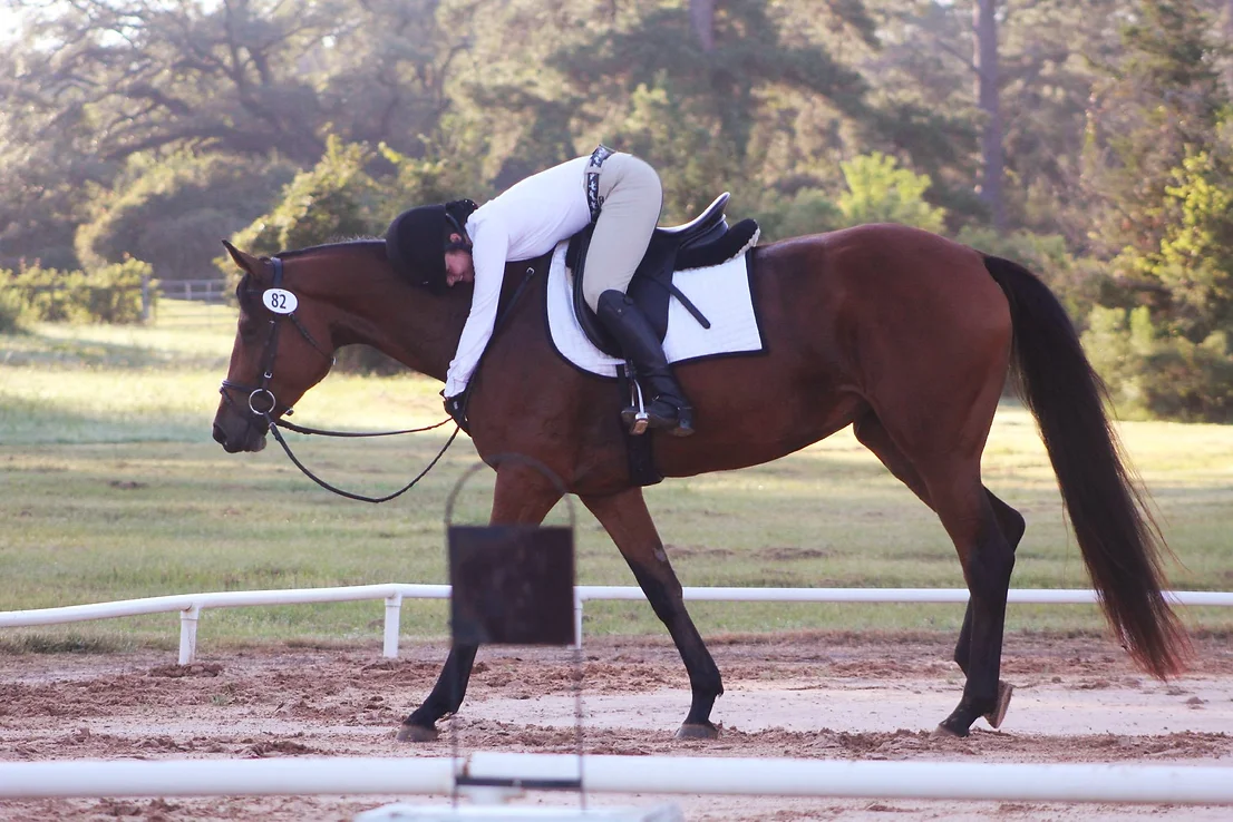 Riding Lessons - Fantasia Fields Equestrian Center